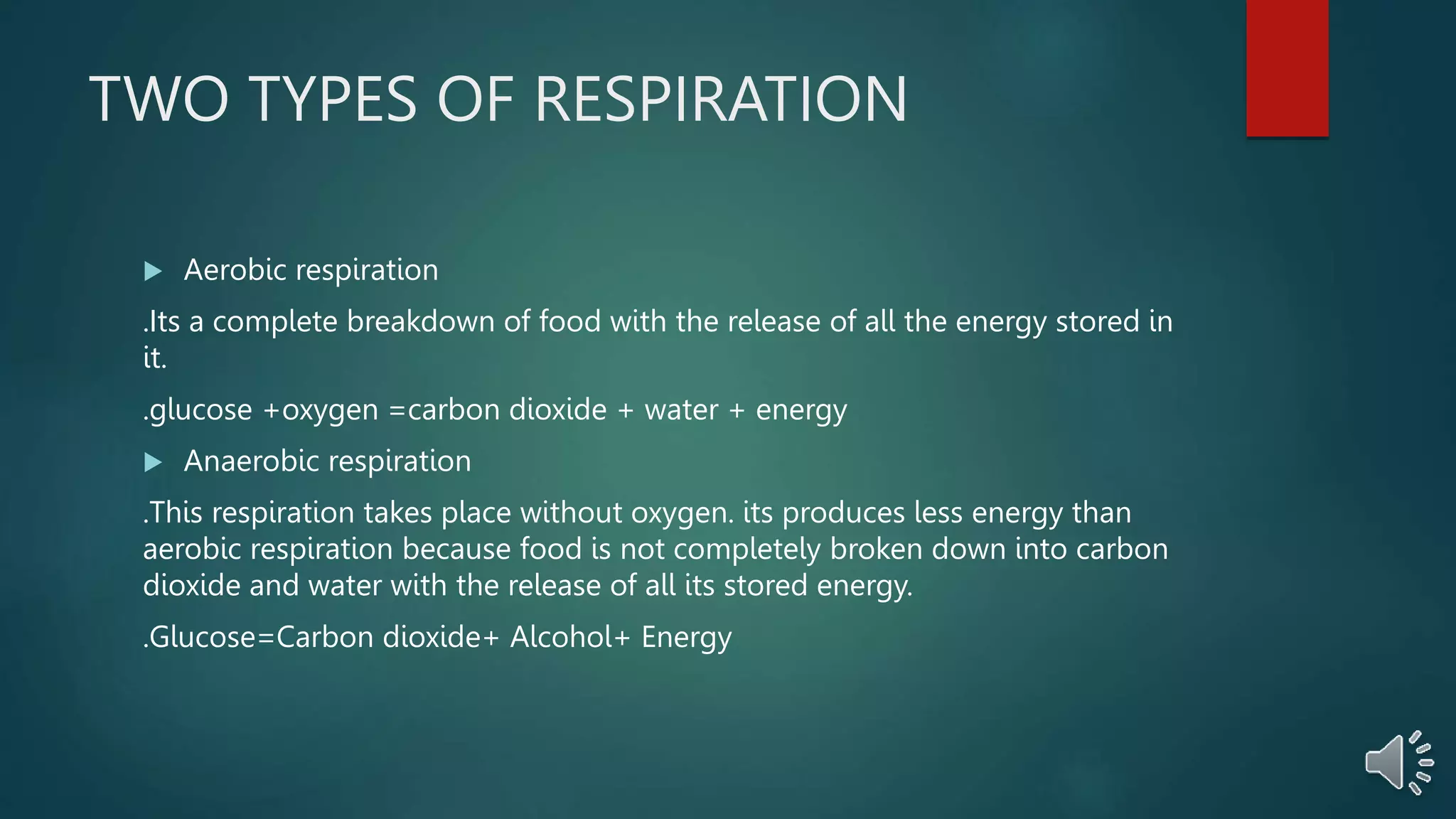 Respiration | PPTX