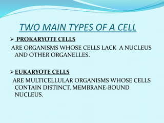 CELLS | PPTX