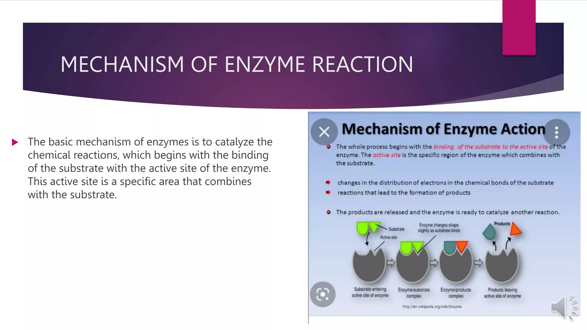 grade 10 biology ENZYMES | PPTX