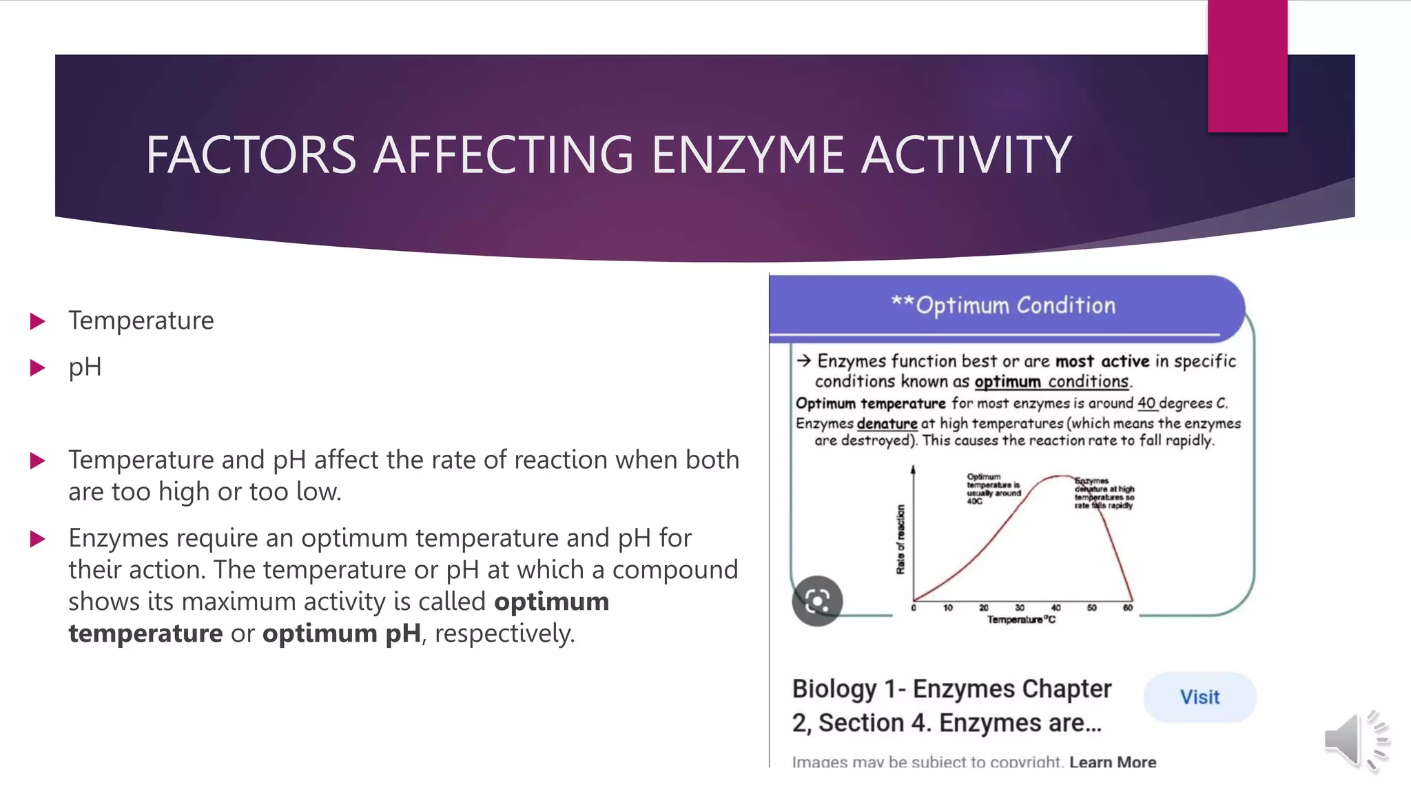 grade 10 biology ENZYMES | PPTX