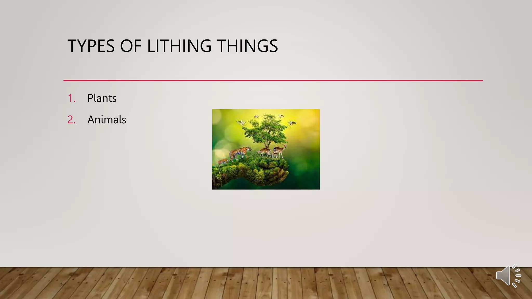 plants and animals | PPTX | Biological Sciences | Science