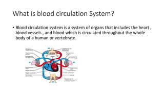 BLOOD CIRCULATION SYSTEM | PPTX
