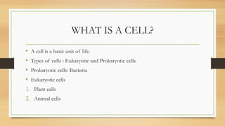 GRADE 10 BIOLOGY(CELL) | PPTX