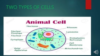 LIVINGTHINGS & CELLS | PPT