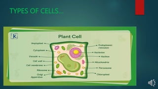 LIVINGTHINGS & CELLS | PPT