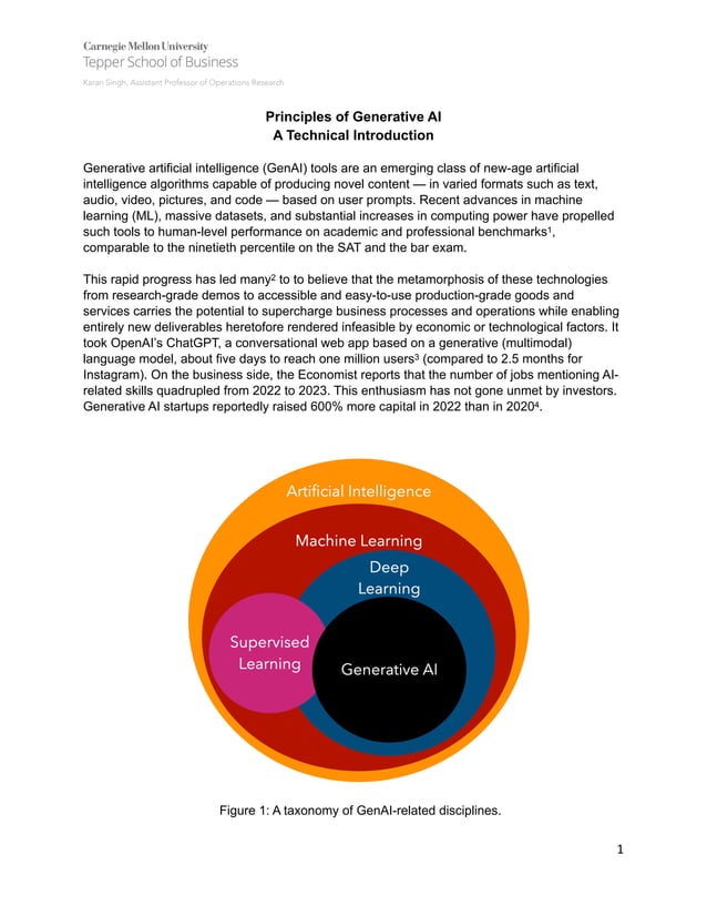 genai principles booklet with details of | PDF