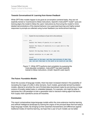 genai principles booklet with details of | PDF