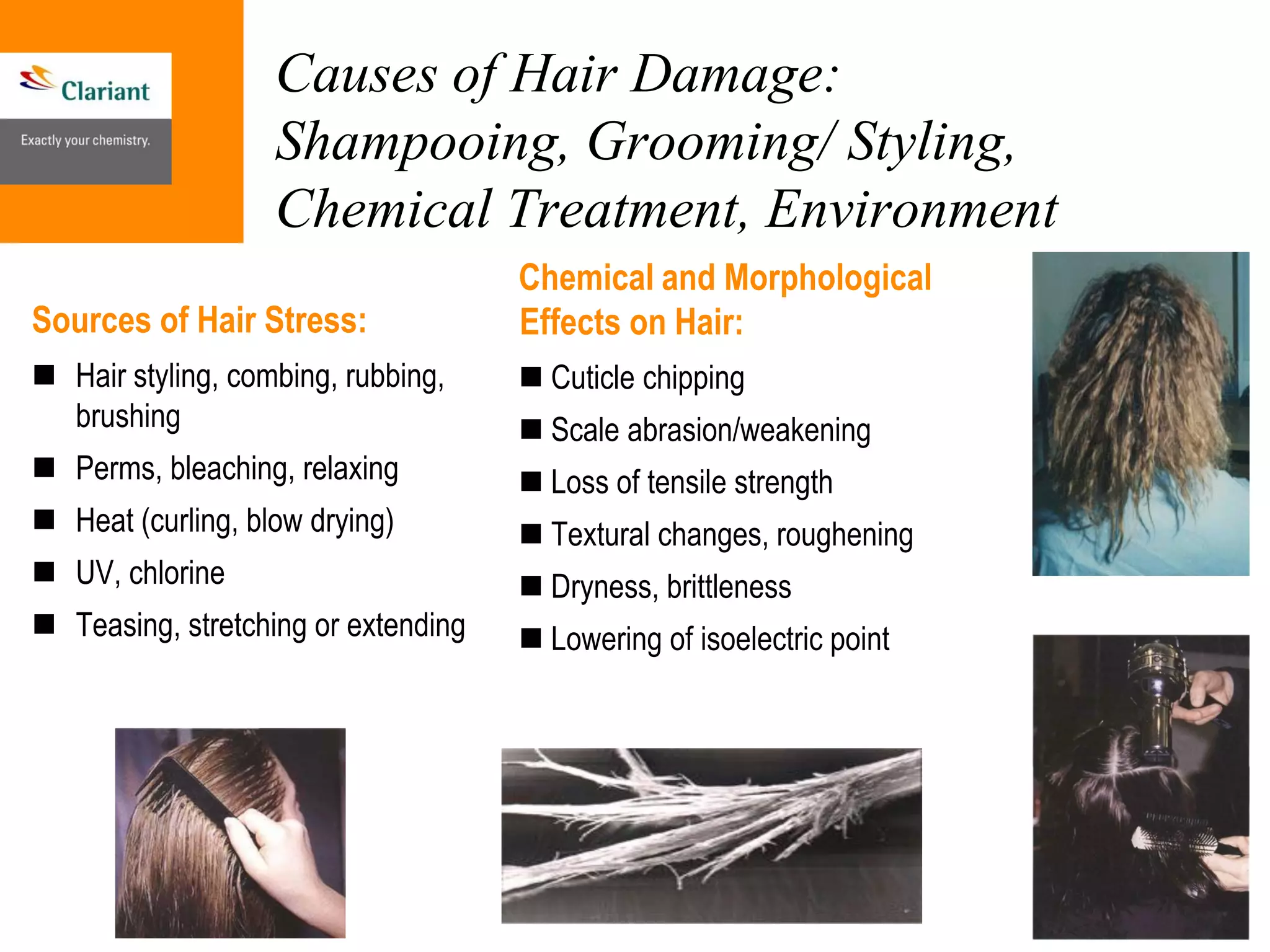 Genamin Quats Presentation - Essential Ingredients, Inc.pdf