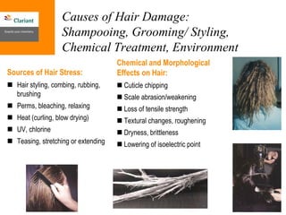 Genamin Quats Presentation - Essential Ingredients, Inc.pdf