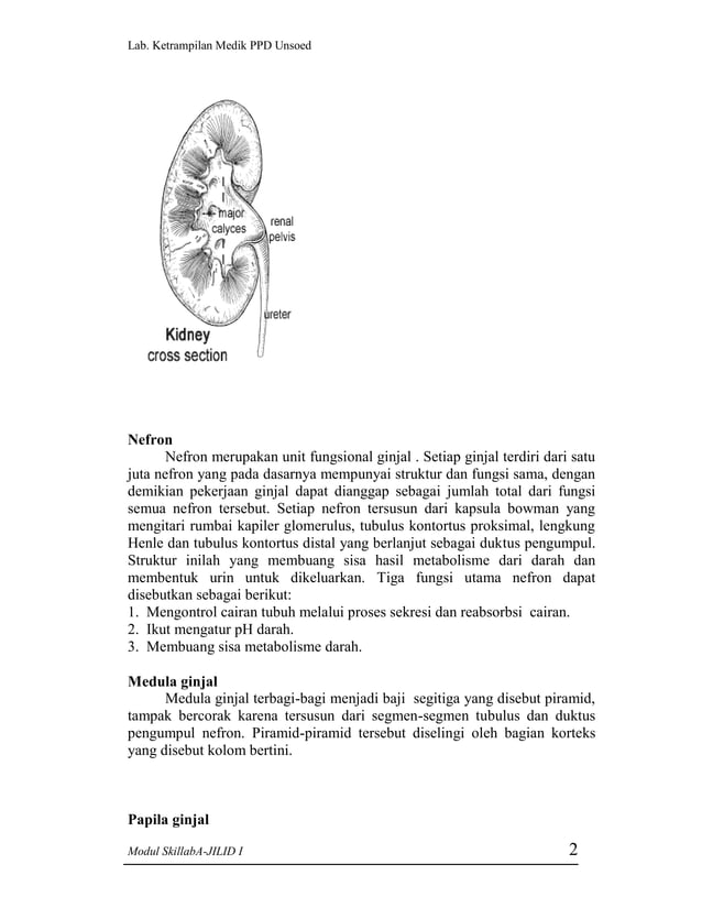 tekhnik pemasangan kateter urin | PDF