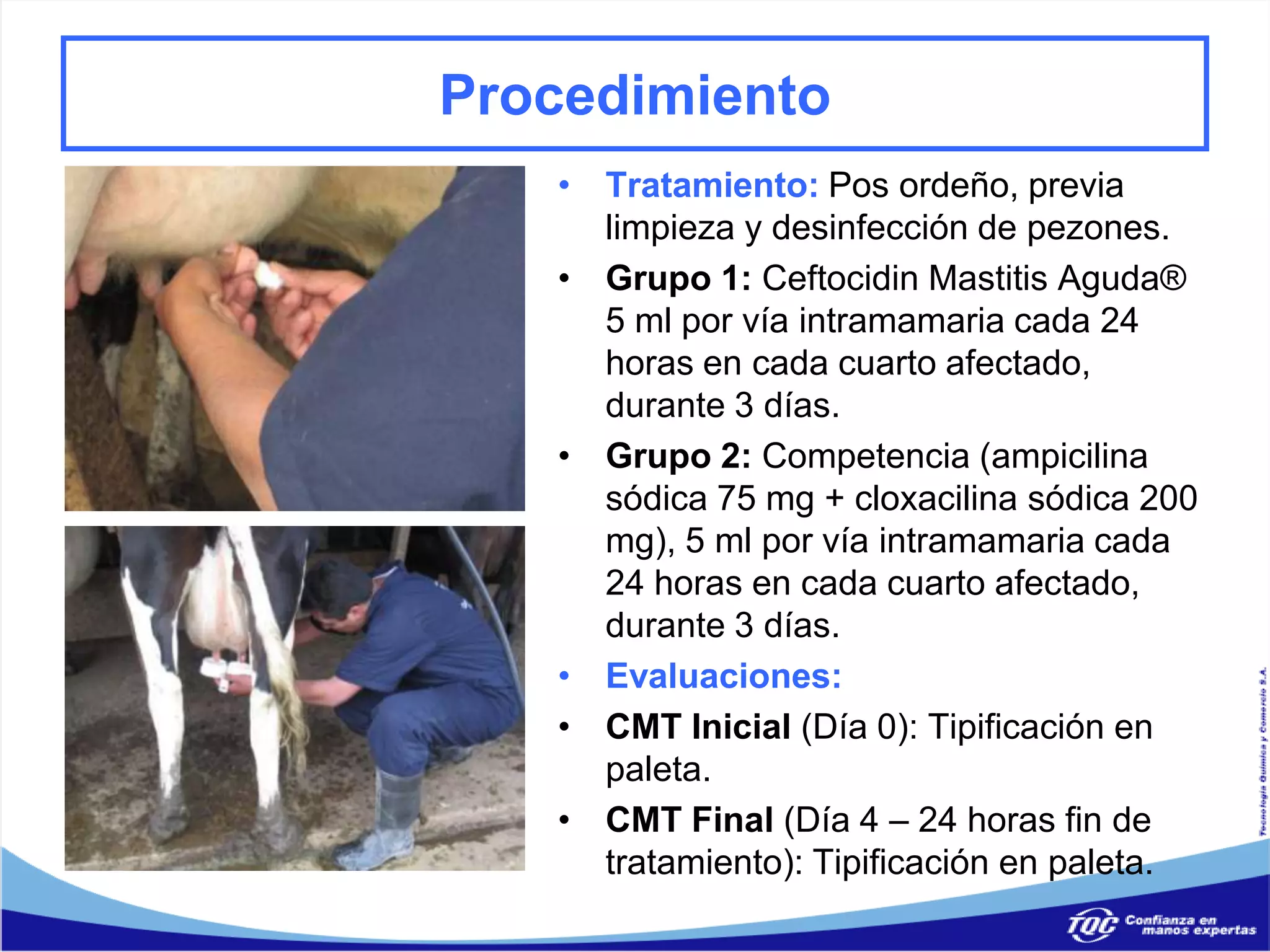 Genaro Palomino Ceftocidin Mastitis en Vacas | PPT
