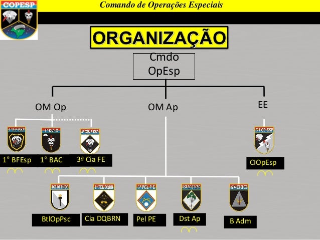Comando de Operações Especiais