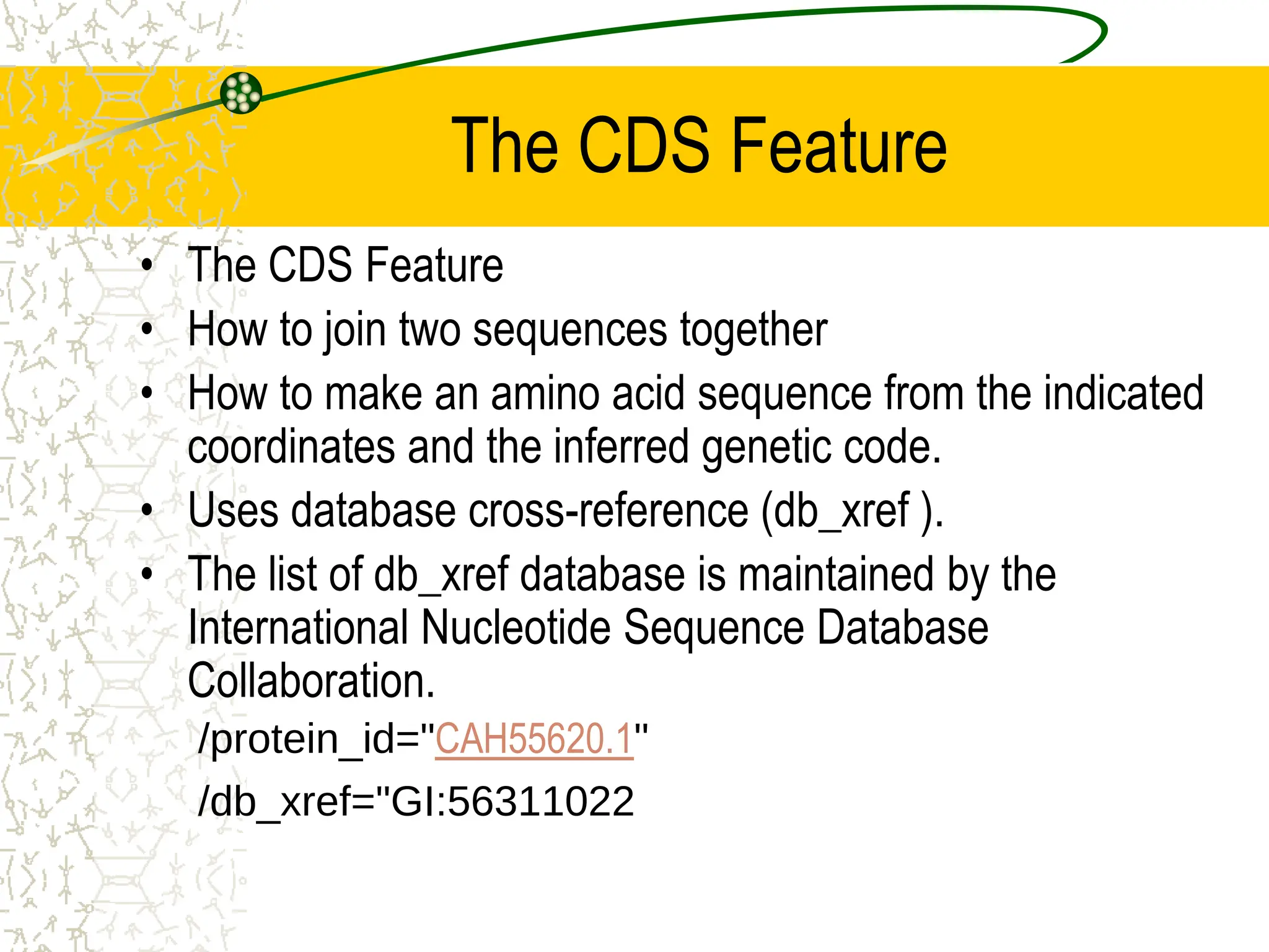 Finding sequence records with NCBI's Entrez Nucleotides | PPTX