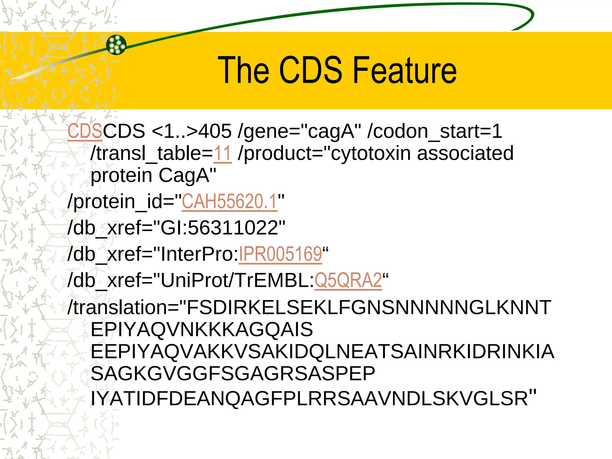 Finding sequence records with NCBI's Entrez Nucleotides | PPTX