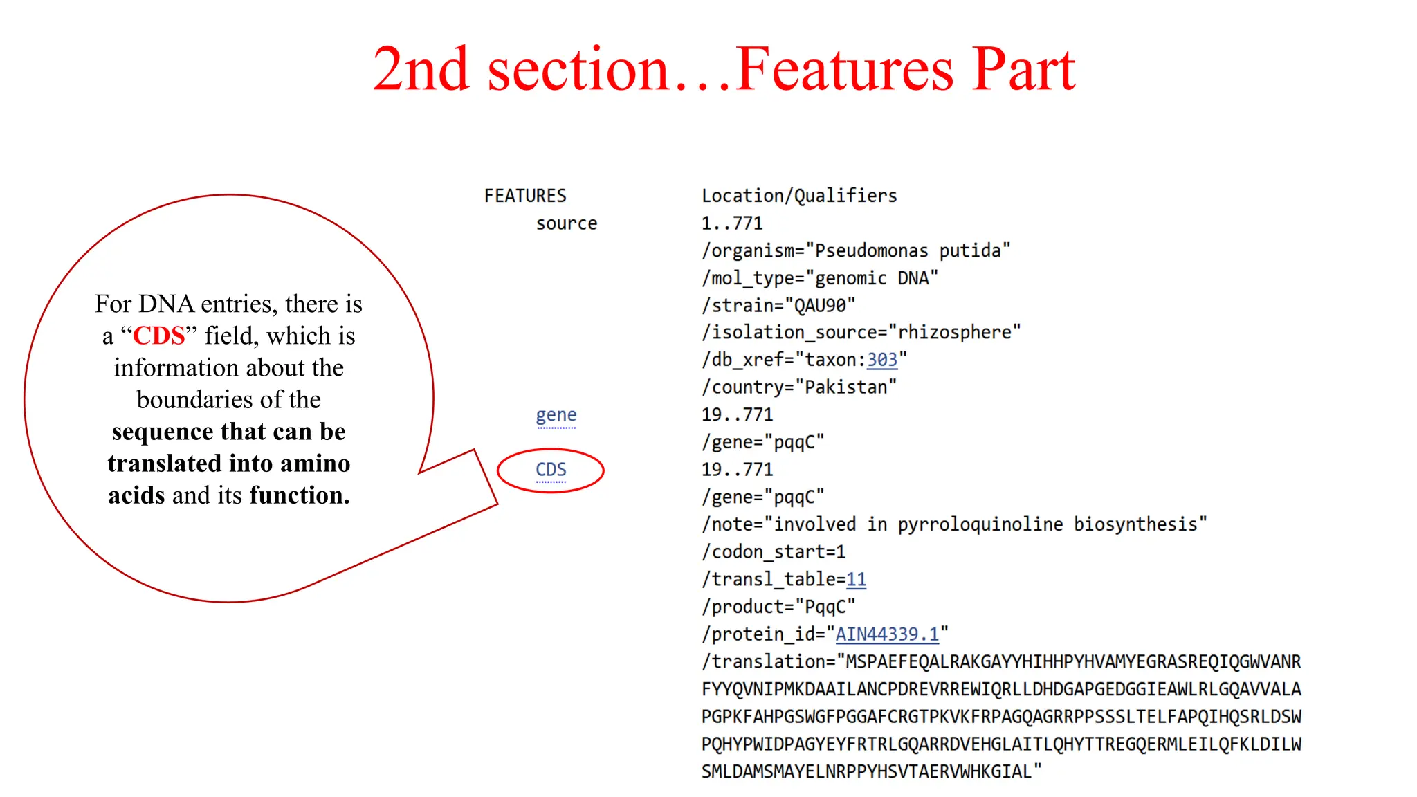 GenBank Database and its different sections (Bioinformatics) | PPTX