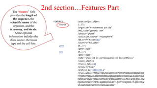 GenBank Database and its different sections (Bioinformatics) | PPTX