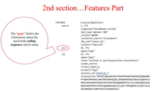 GenBank Database and its different sections (Bioinformatics) | PPTX