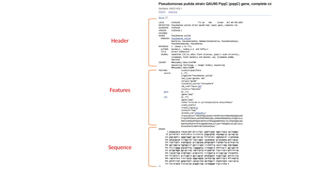 GenBank Database and its different sections (Bioinformatics) | PPTX | Databases | Computer ...