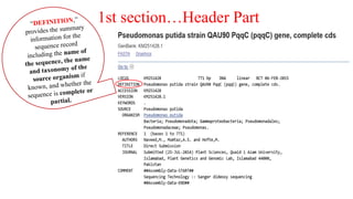 GenBank Database and its different sections (Bioinformatics) | PPTX