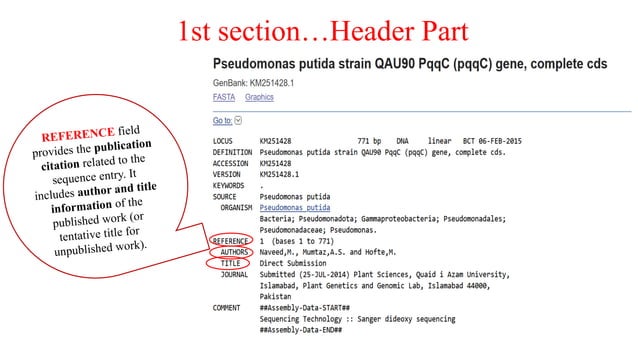 GenBank Database and its different sections (Bioinformatics) | PPTX | Databases | Computer ...