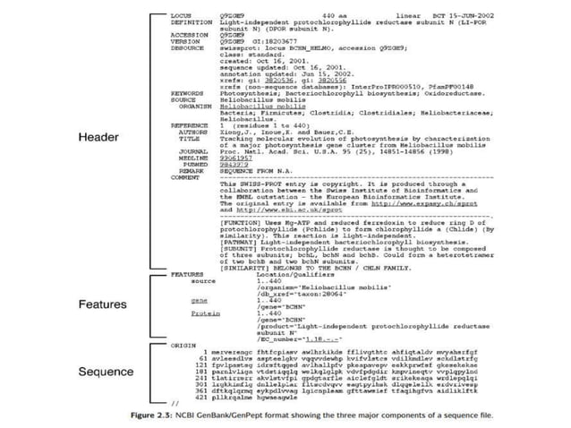 Gen bank databases | PPTX | Databases | Computer Software and Applications