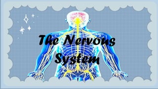 general biology the nervous system.pptx