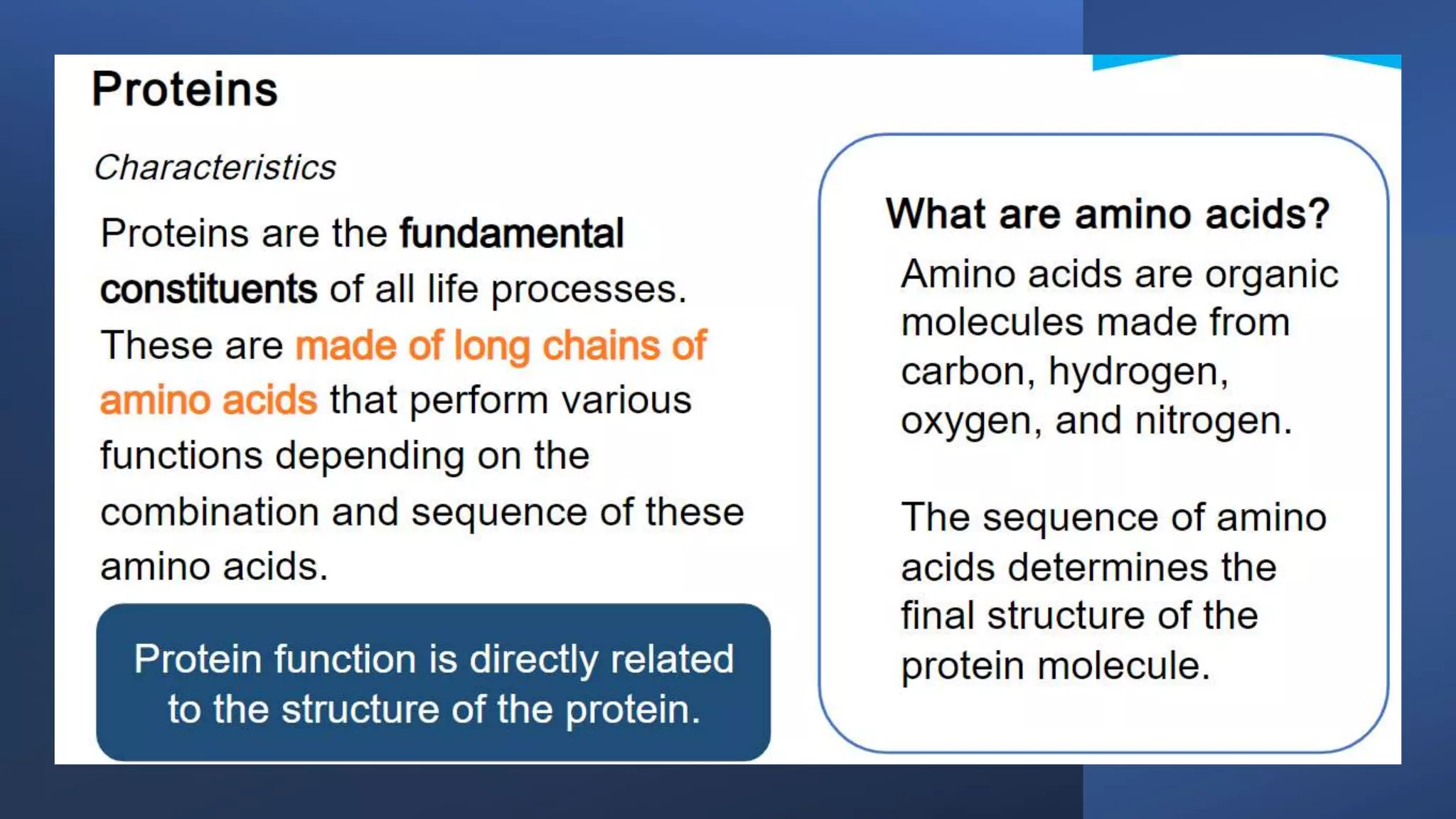 Genbio 1 Categorizing the Biological Molecules According to Their ...