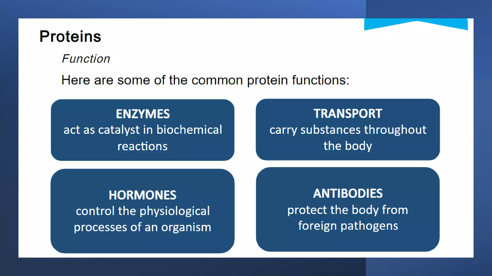 Genbio 1 Categorizing the Biological Molecules According to Their ...