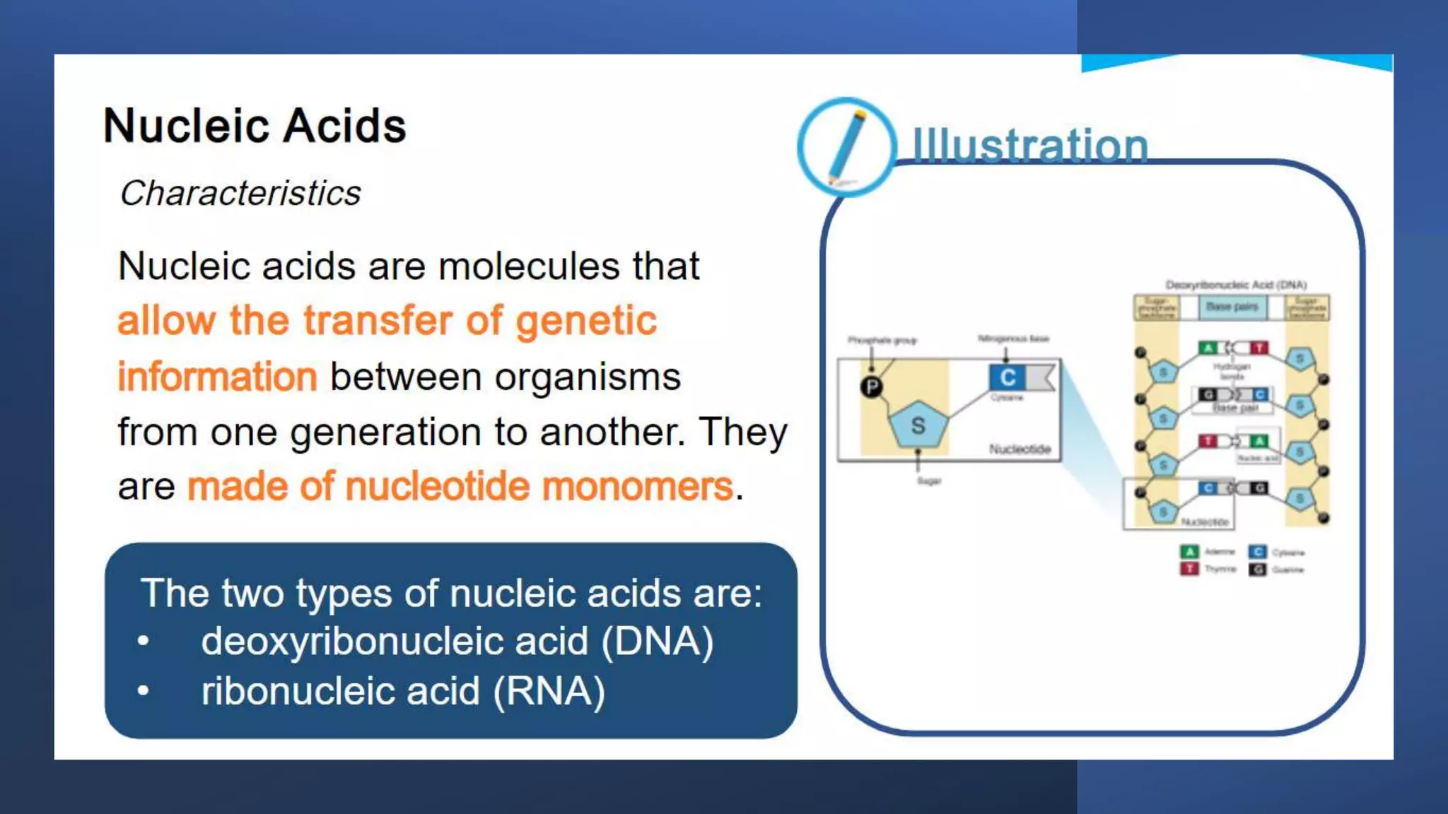 Genbio 1 Categorizing the Biological Molecules According to Their ...