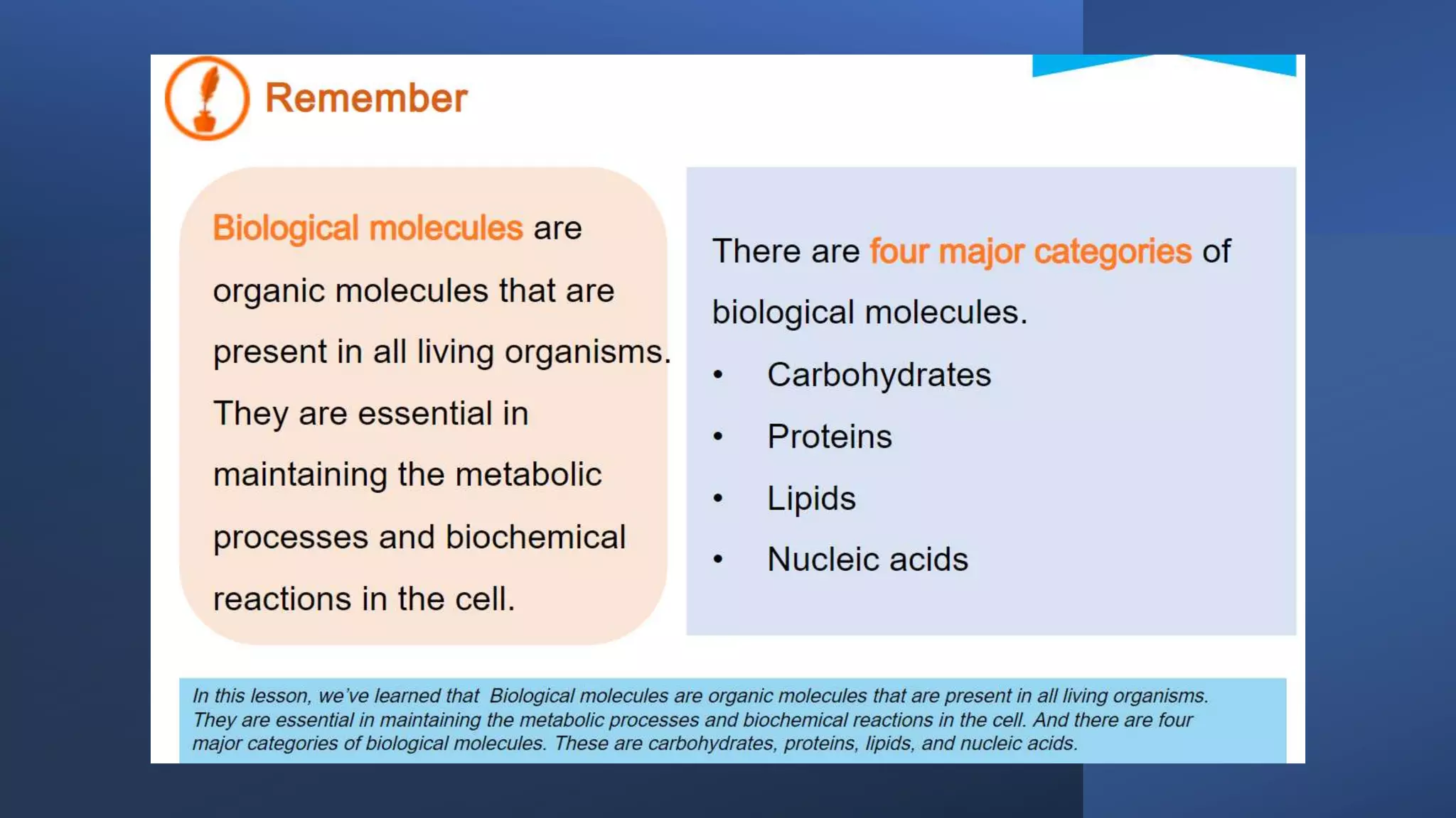 Genbio 1 Categorizing the Biological Molecules According to Their ...