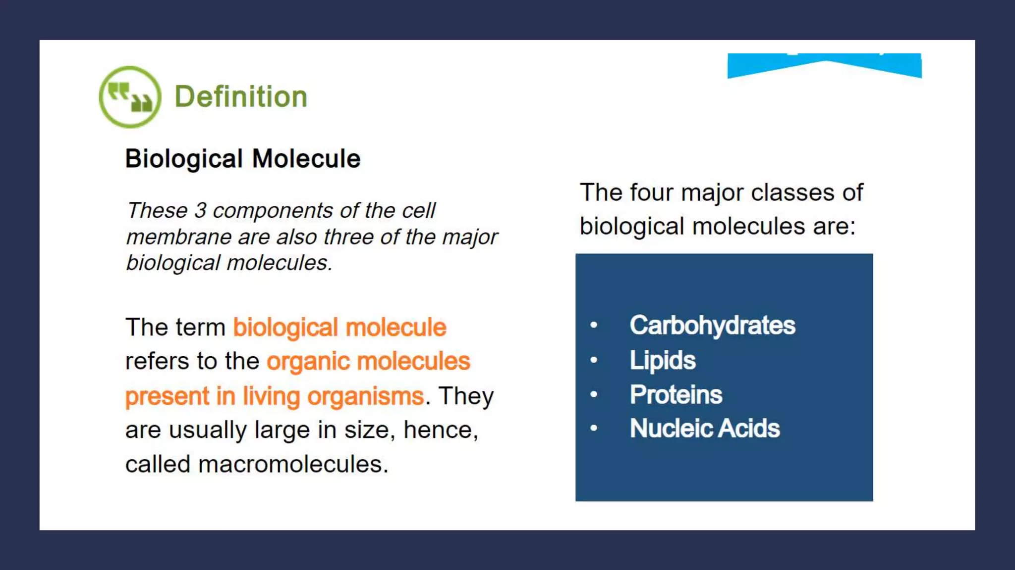 Genbio 1 Categorizing the Biological Molecules According to Their ...