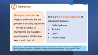 Genbio 1 Categorizing the Biological Molecules According to Their ...