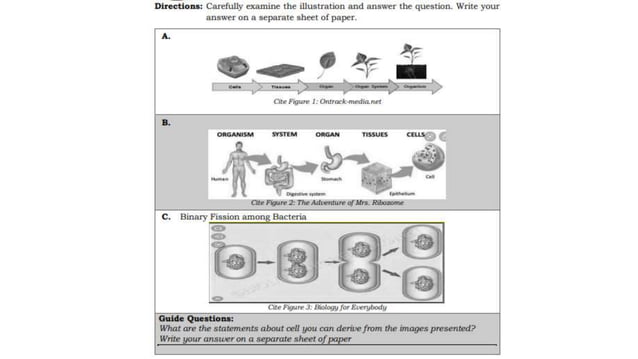 Gen Bio 1 Module 1.pptx