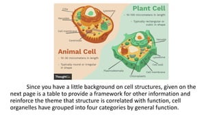 Gen Bio 1 Module 1.pptx