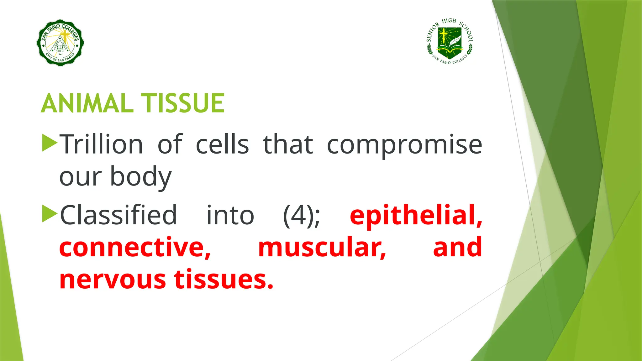 GENBIO1_PLANT AND ANIMAL TISSUES.AND THEIR FUNCTIONSpptx | PPTX