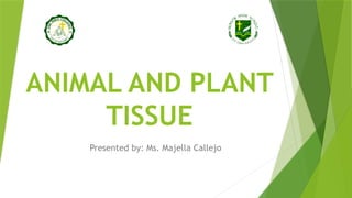 GENBIO1_PLANT AND ANIMAL TISSUES.AND THEIR FUNCTIONSpptx | PPT