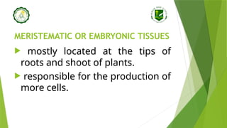 GENBIO1_PLANT AND ANIMAL TISSUES.AND THEIR FUNCTIONSpptx | PPT