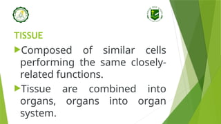 GENBIO1_PLANT AND ANIMAL TISSUES.AND THEIR FUNCTIONSpptx | PPT