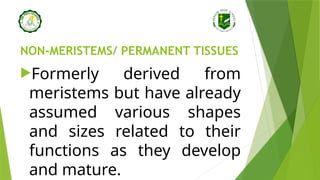 GENBIO1_PLANT AND ANIMAL TISSUES.AND THEIR FUNCTIONSpptx | PPT