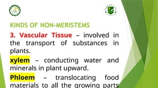 GENBIO1_PLANT AND ANIMAL TISSUES.AND THEIR FUNCTIONSpptx | PPT