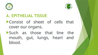 GENBIO1_PLANT AND ANIMAL TISSUES.AND THEIR FUNCTIONSpptx | PPT