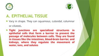 GENBIO1_PLANT AND ANIMAL TISSUES.AND THEIR FUNCTIONSpptx | PPT