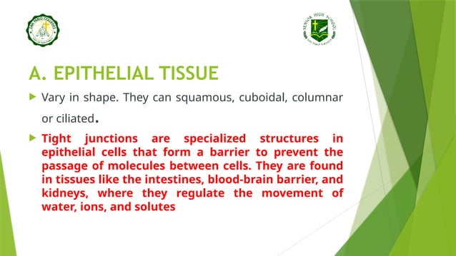 GENBIO1_PLANT AND ANIMAL TISSUES.AND THEIR FUNCTIONSpptx | PPT