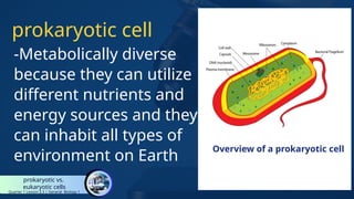 Gen Bio 1_Q1_Lesson 2.3_Prokaryotic and Eukaryotic Cells.pptx