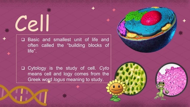 cell theory | PPTX