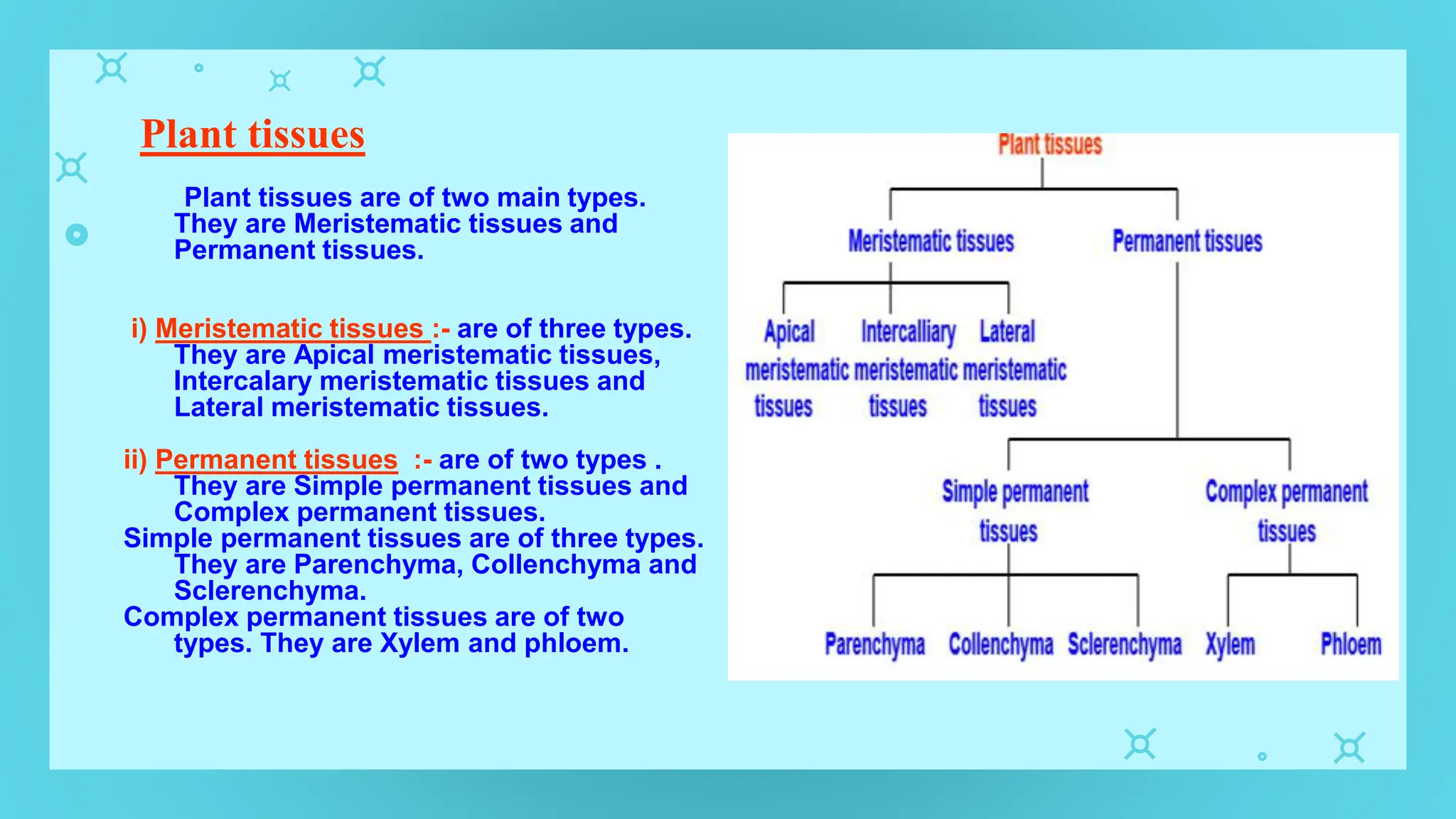 GenBio1W2L1 Cell Types and Cell Modification.pptx