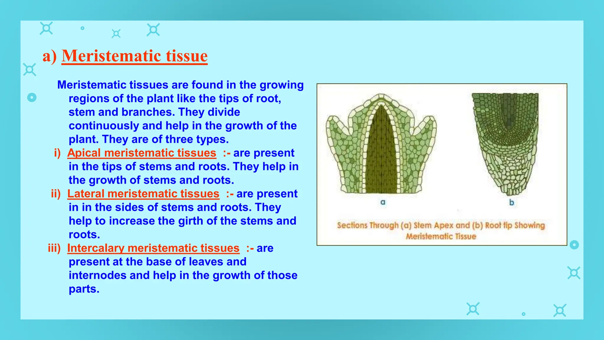 GenBio1W2L1 Cell Types and Cell Modification.pptx