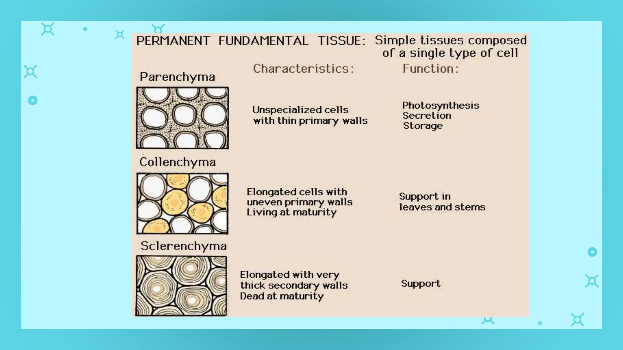 GenBio1W2L1 Cell Types and Cell Modification.pptx