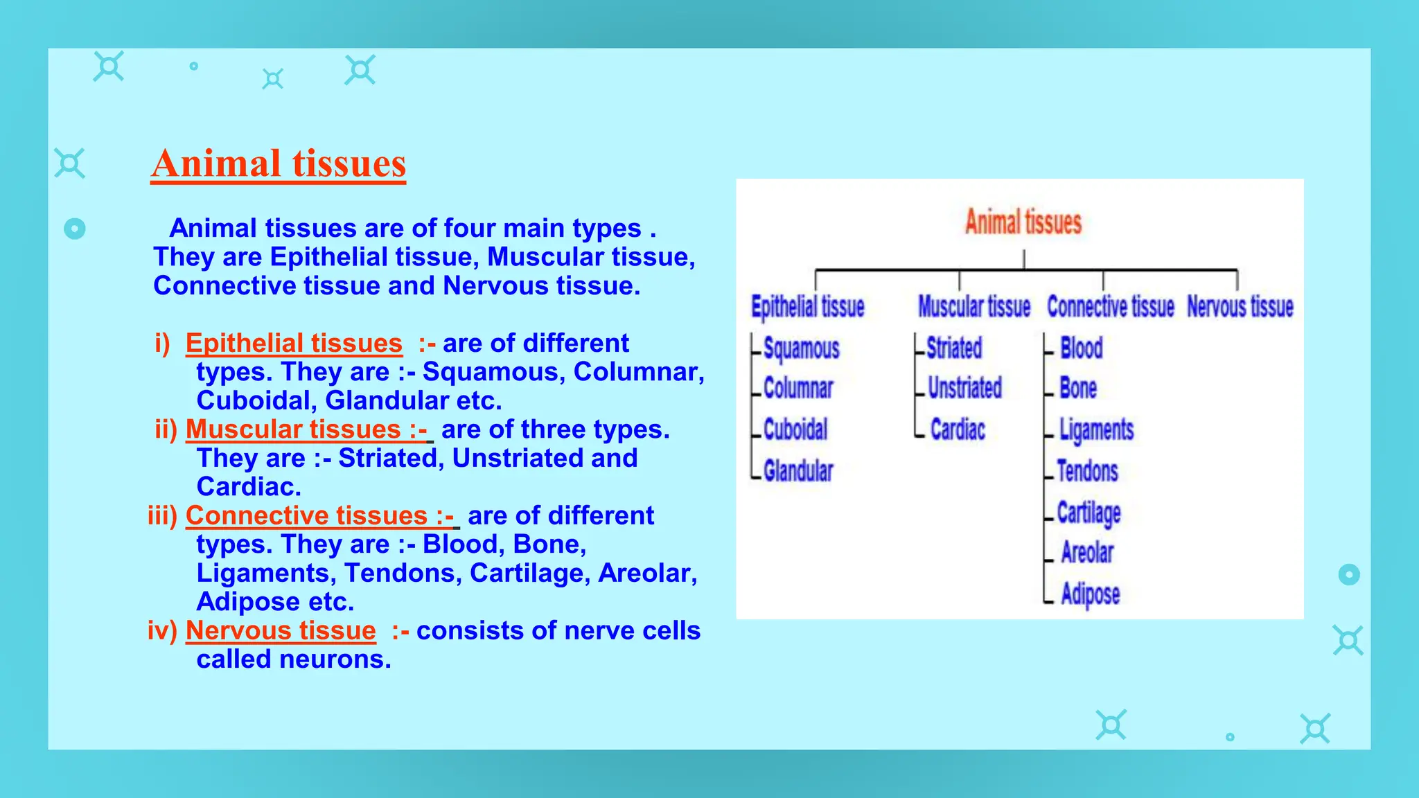 GenBio1W2L1 Cell Types and Cell Modification.pptx