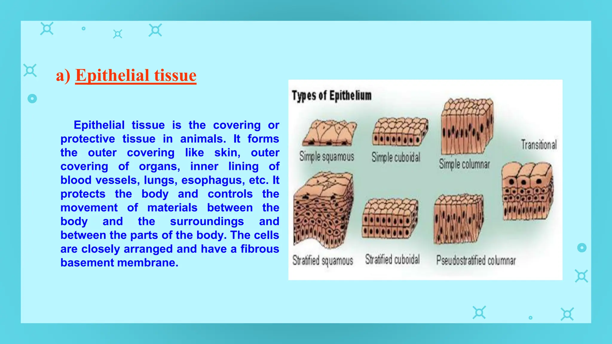 GenBio1W2L1 Cell Types and Cell Modification.pptx